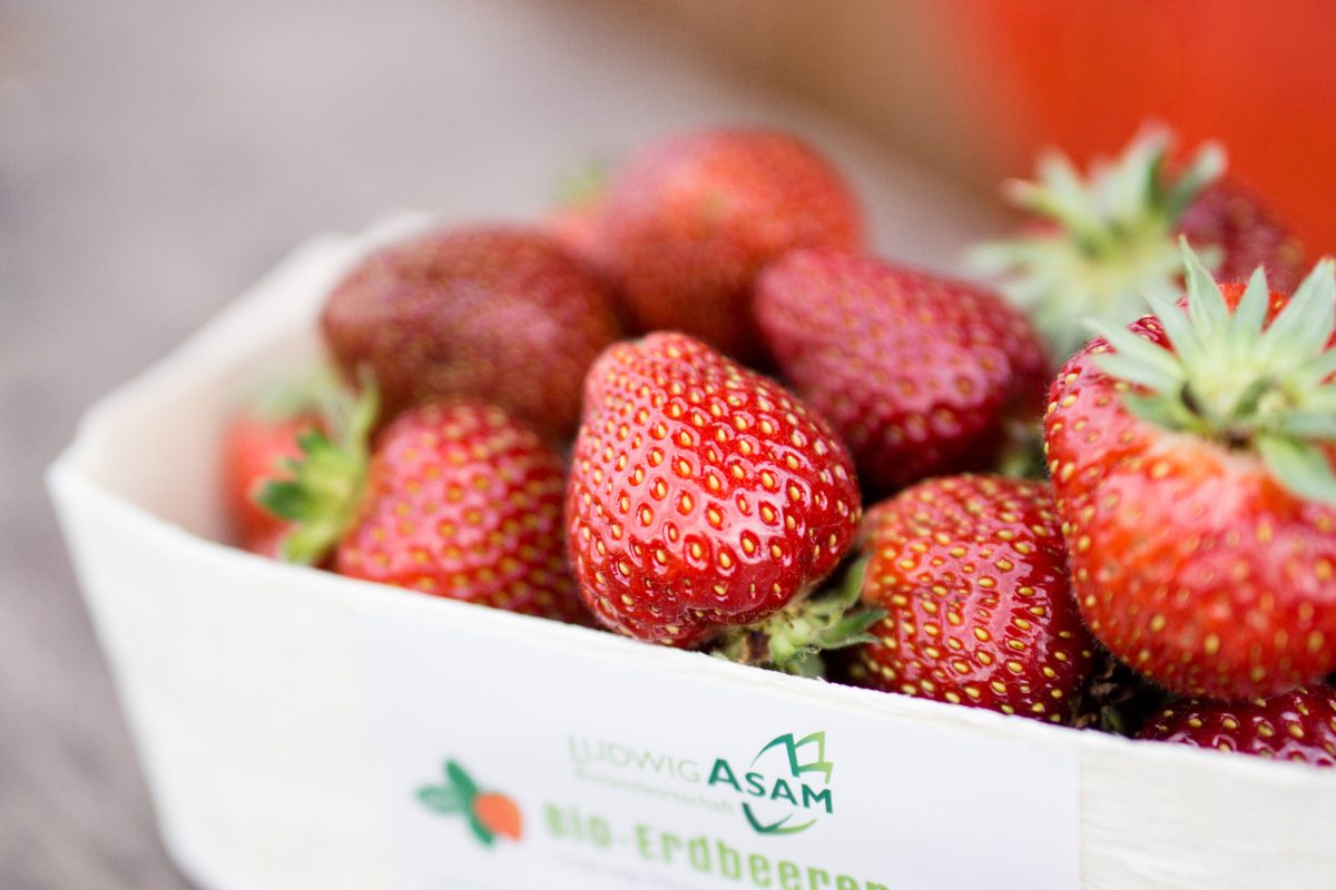 Bio Erdbeeren - Aktuelle Infos, Öffnungszeiten & mehr